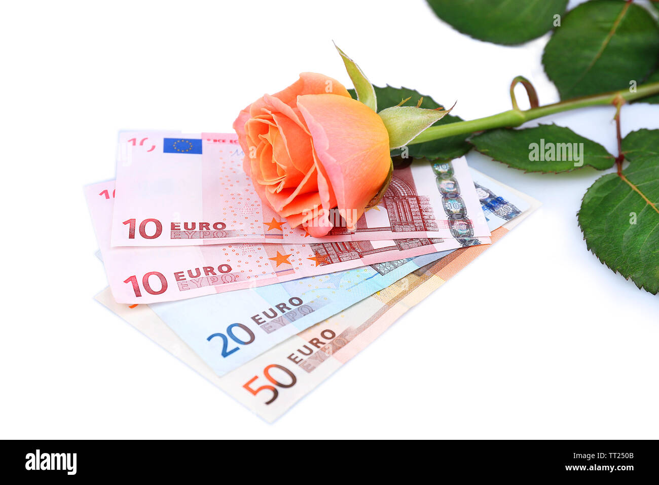 Beautiful rose and money, isolated on white Stock Photo - Alamy