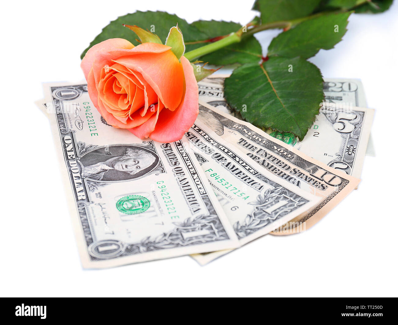 Beautiful rose and money, isolated on white Stock Photo - Alamy