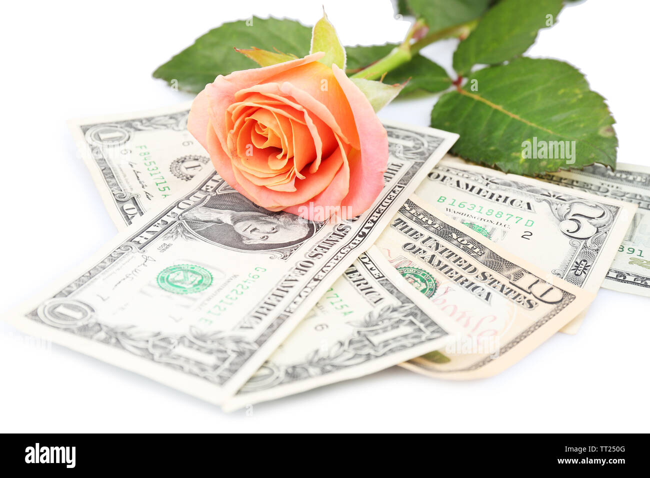 Beautiful rose and money, isolated on white Stock Photo - Alamy
