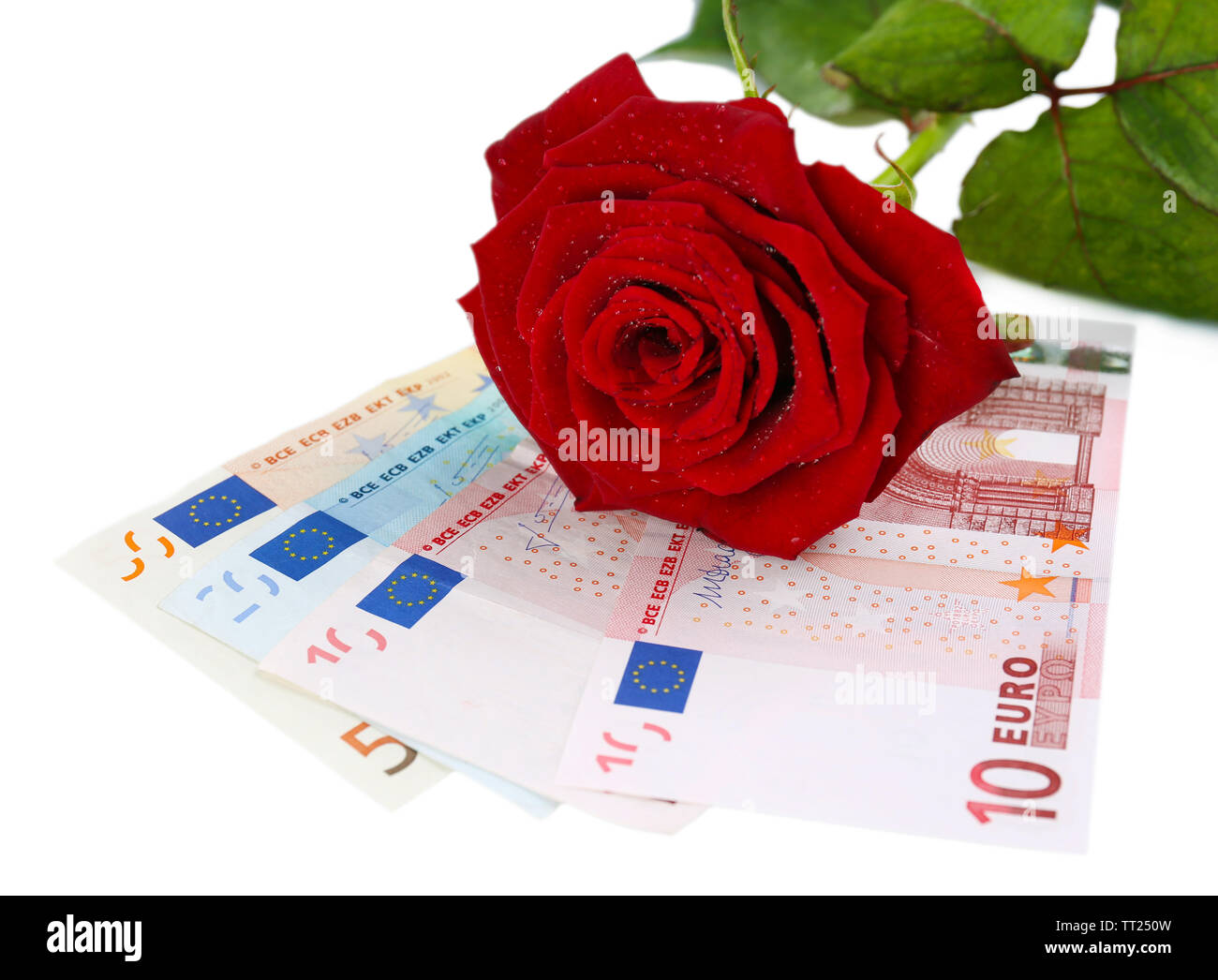 Beautiful rose and money, isolated on white Stock Photo - Alamy