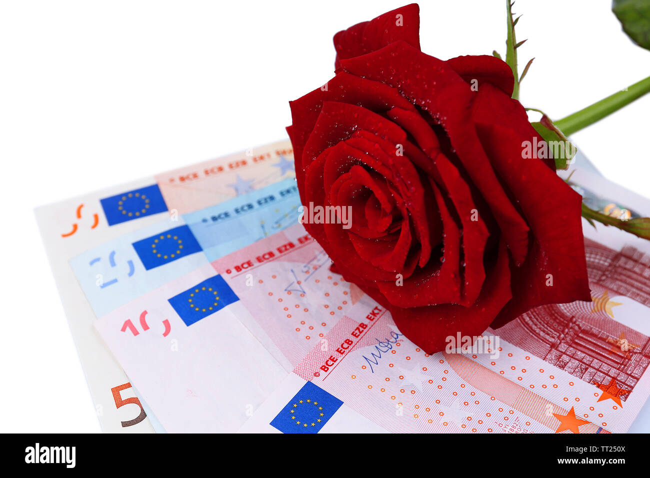Beautiful rose and money, isolated on white Stock Photo - Alamy