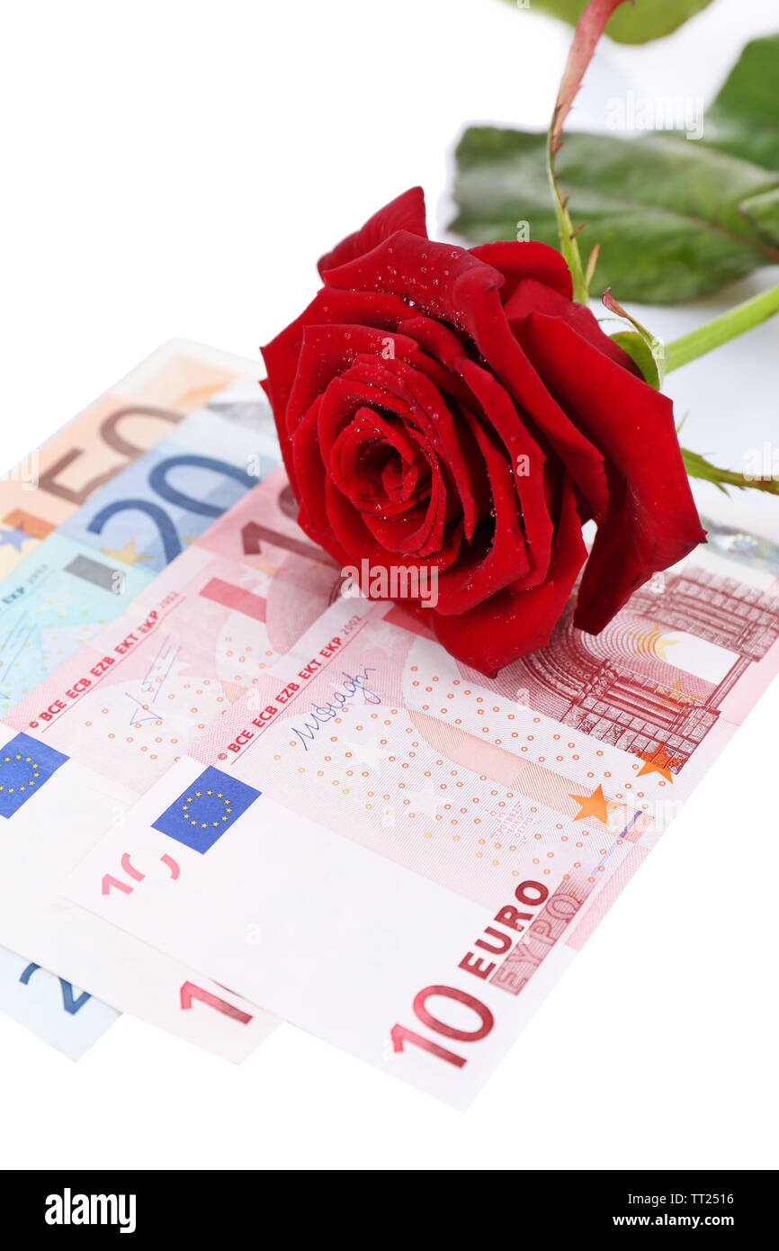 Beautiful rose and money, isolated on white Stock Photo - Alamy