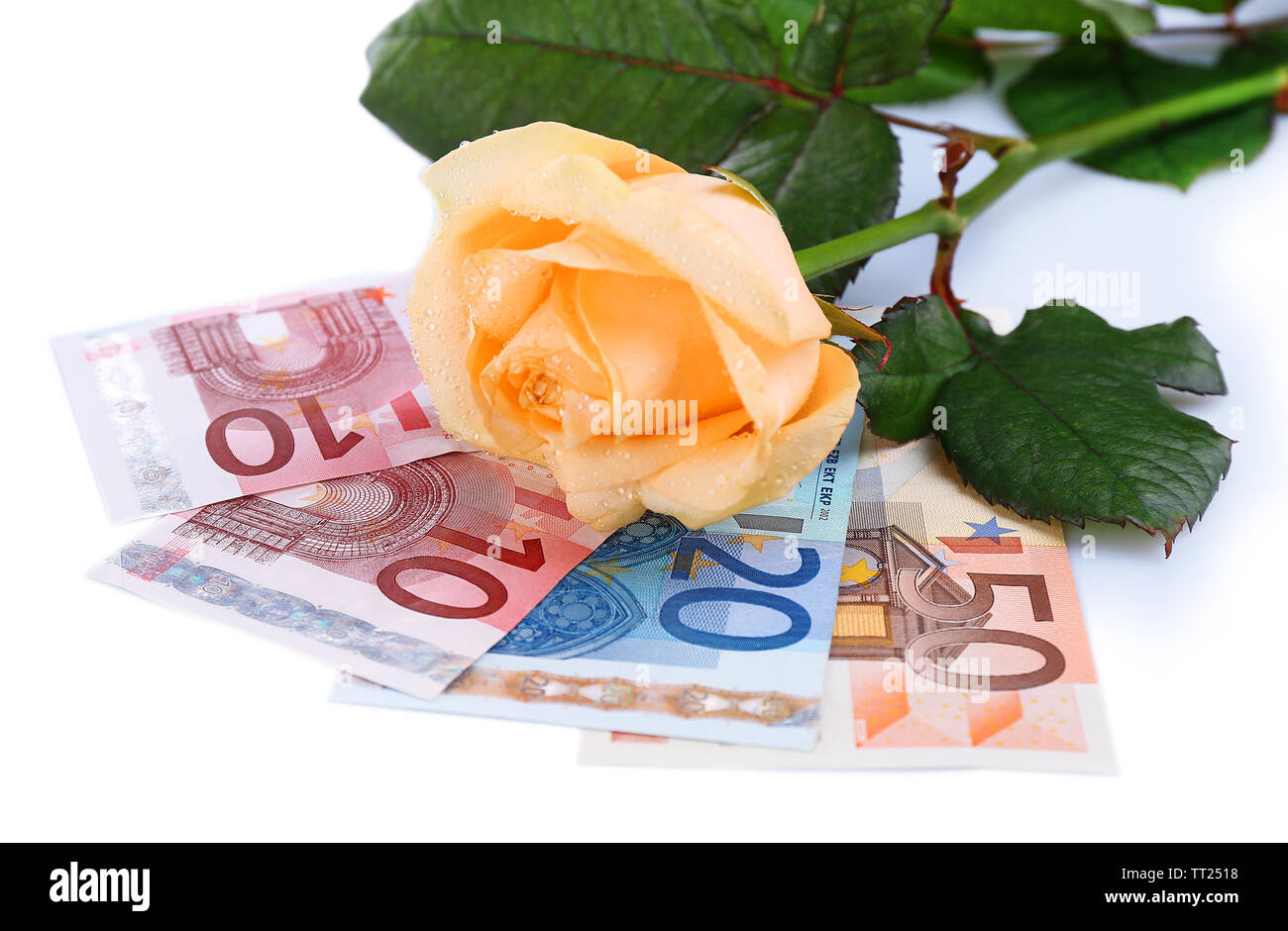 Beautiful rose and money, isolated on white Stock Photo - Alamy