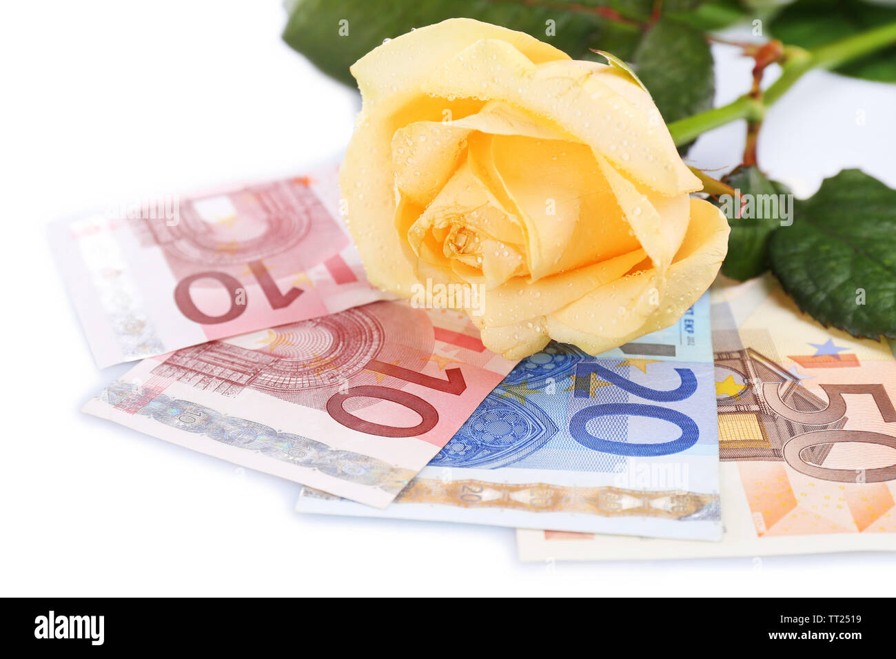 Beautiful rose and money, isolated on white Stock Photo - Alamy