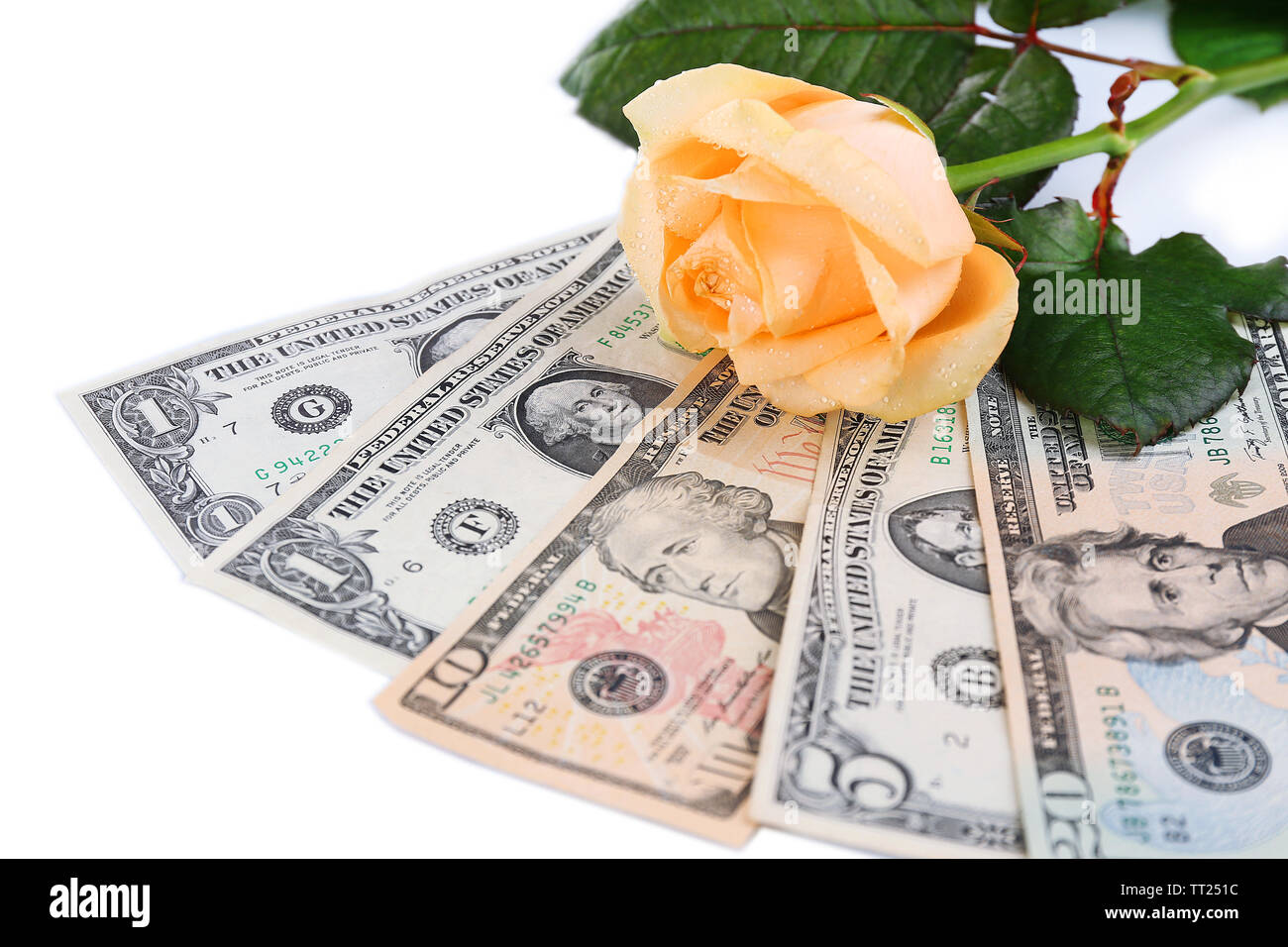 Beautiful rose and money, isolated on white Stock Photo - Alamy