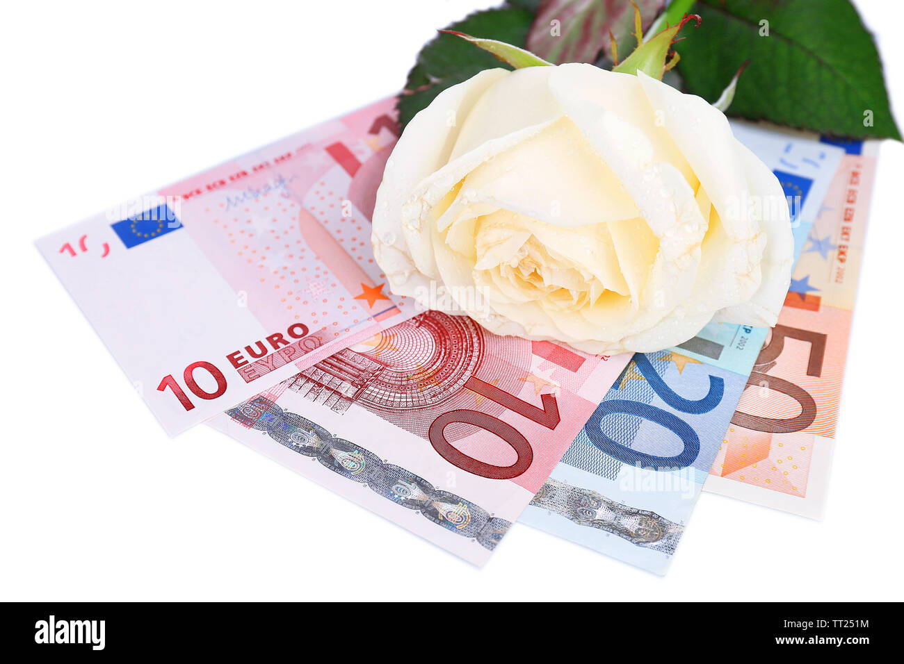 Beautiful rose and money, isolated on white Stock Photo - Alamy