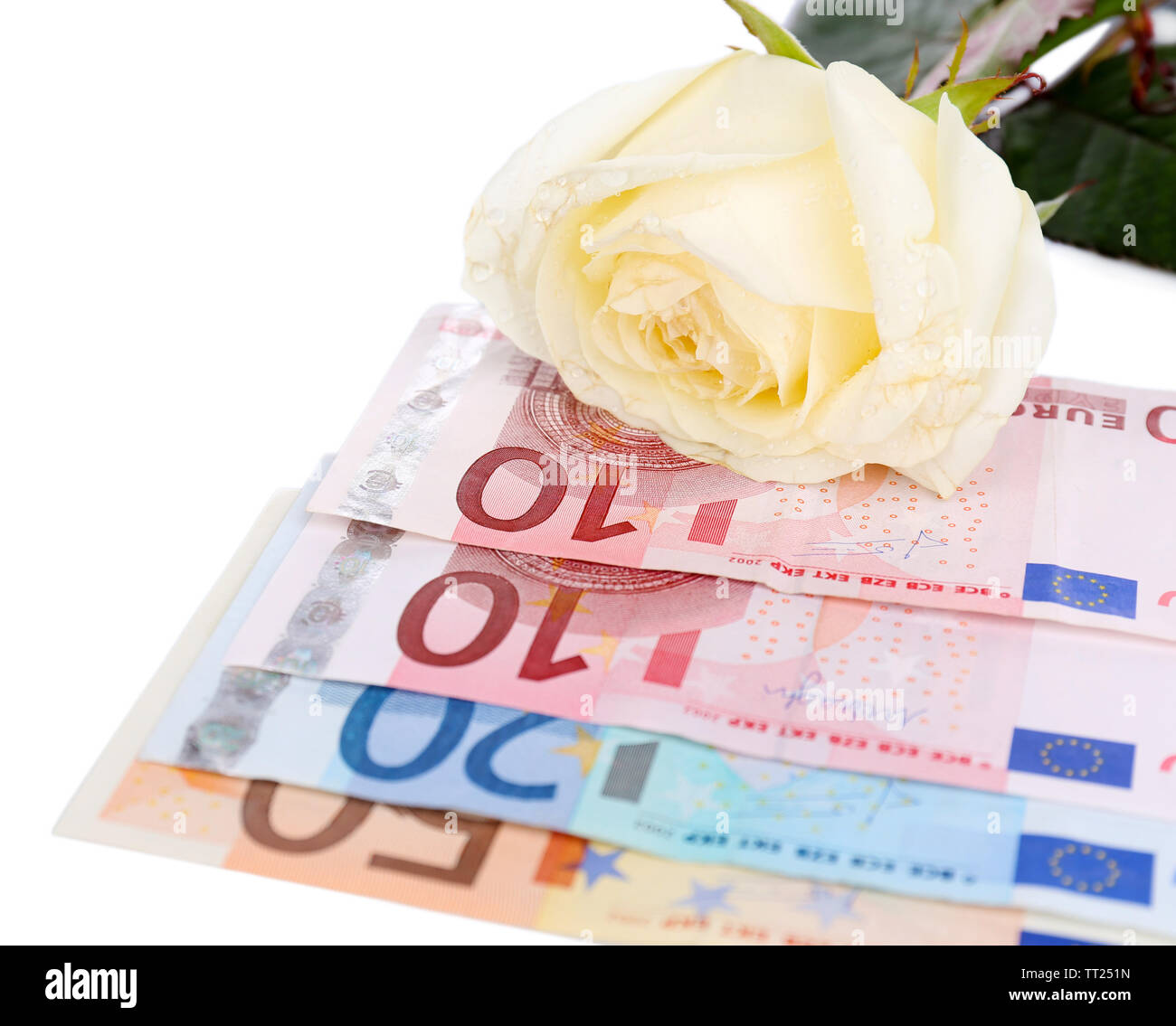 Beautiful rose and money, isolated on white Stock Photo - Alamy