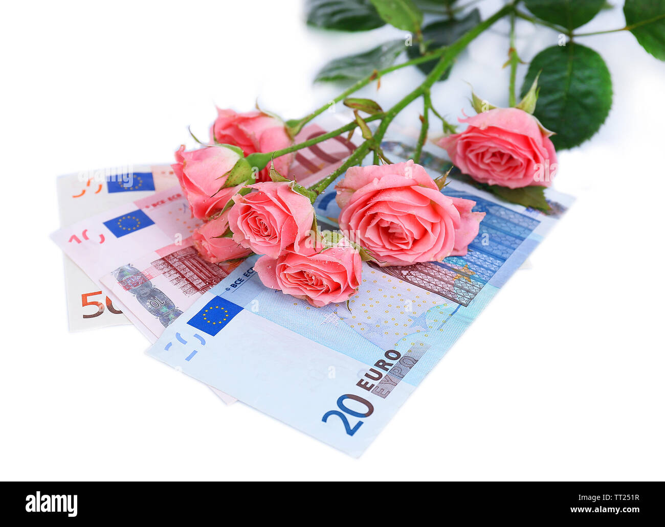 Beautiful roses and money, isolated on white Stock Photo - Alamy