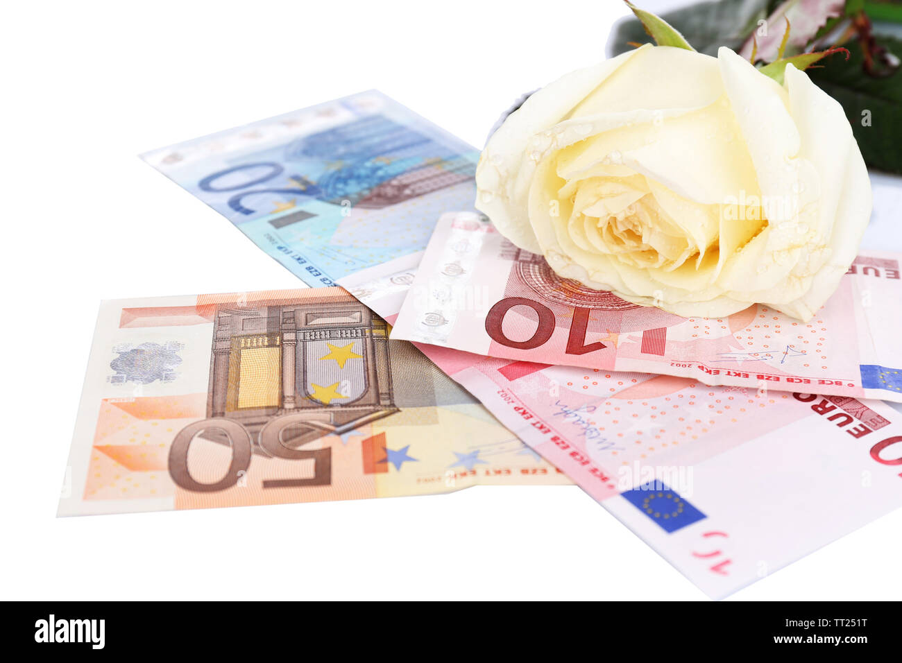 Beautiful rose and money, isolated on white Stock Photo - Alamy
