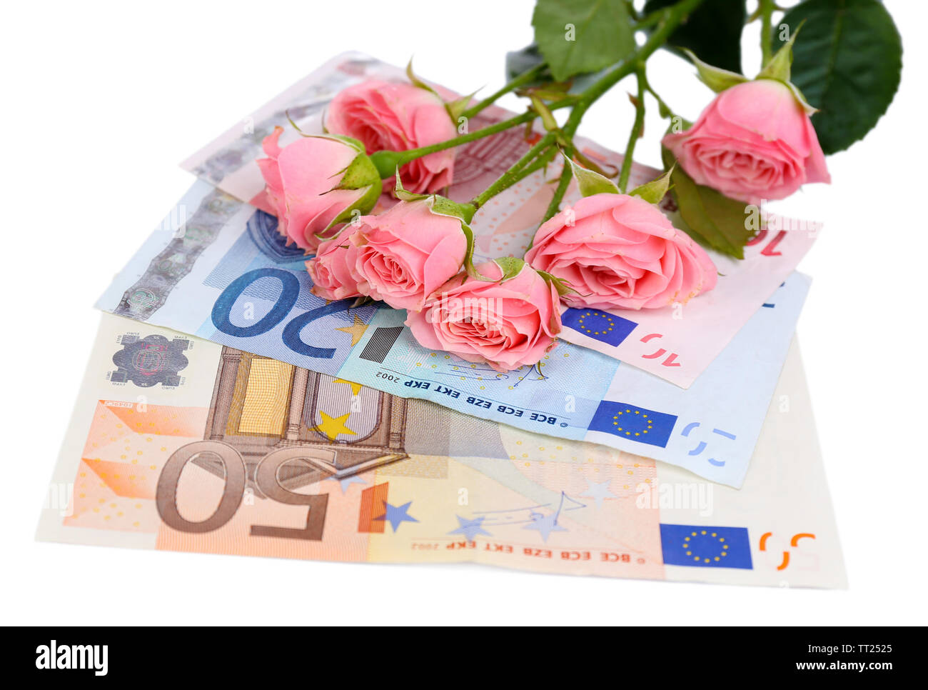 Beautiful roses and money, isolated on white Stock Photo - Alamy