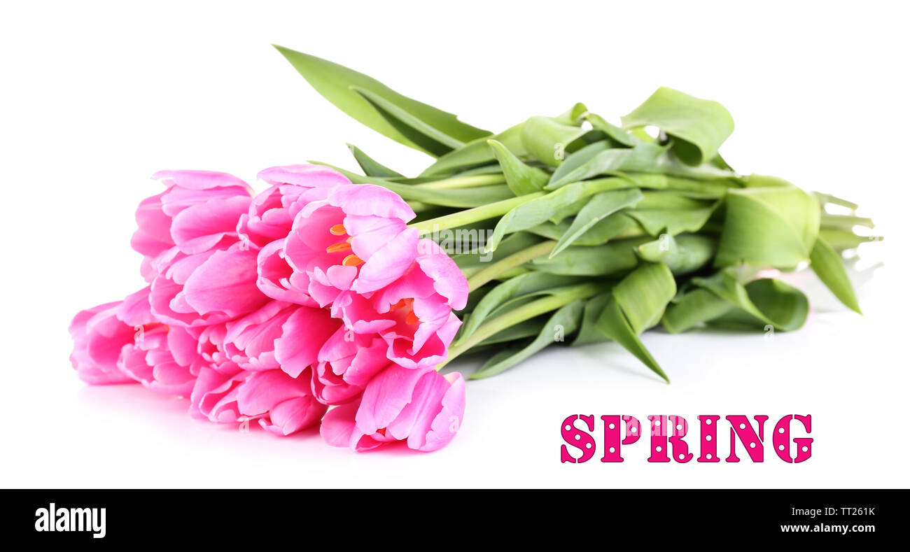 Lovely white pink tulips Cut Out Stock Images & Pictures - Alamy