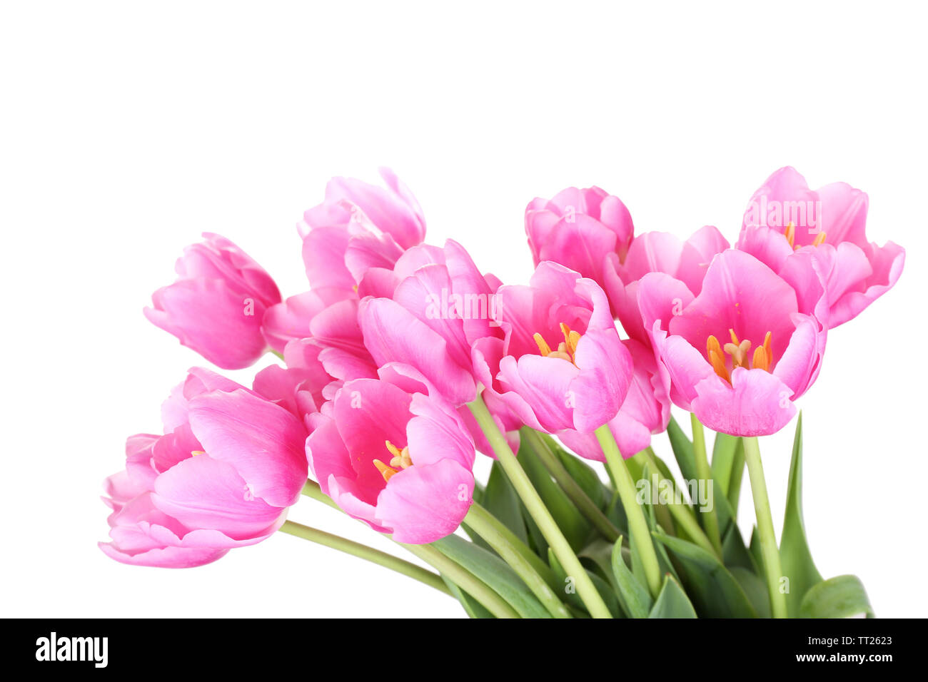 Lovely white pink tulips Cut Out Stock Images & Pictures - Alamy