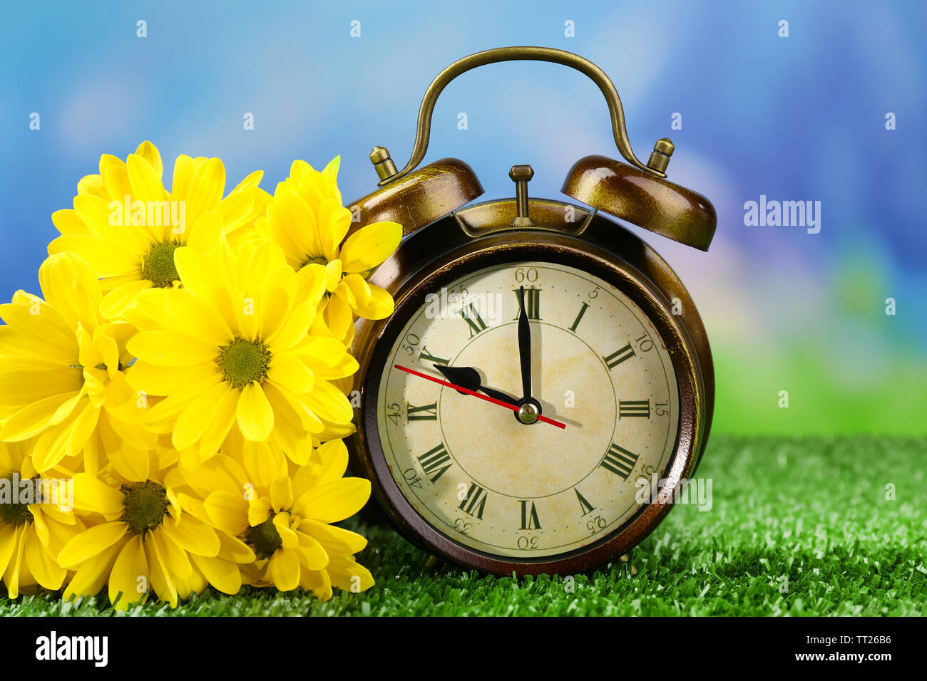 Alarm clock on green grass, on nature background Stock Photo - Alamy