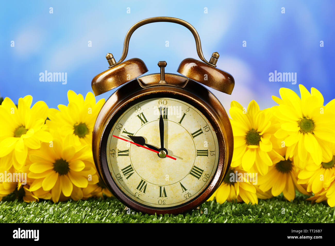 Alarm clock on green grass, on nature background Stock Photo - Alamy