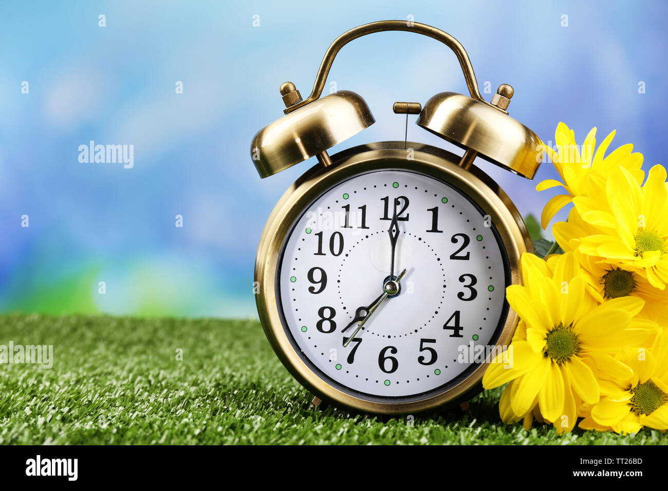 Alarm clock on green grass, on nature background Stock Photo - Alamy