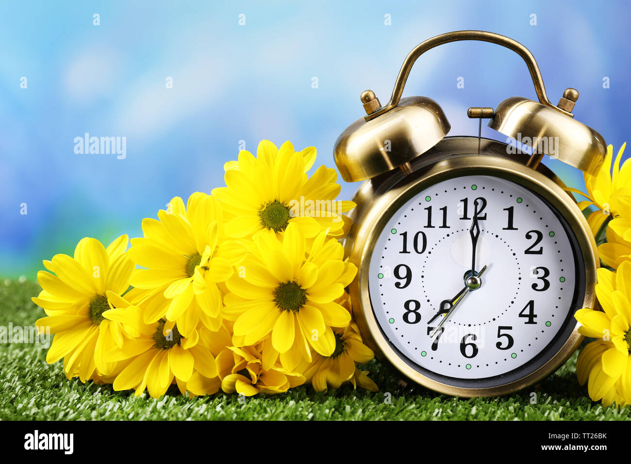 Alarm clock on green grass, on nature background Stock Photo - Alamy