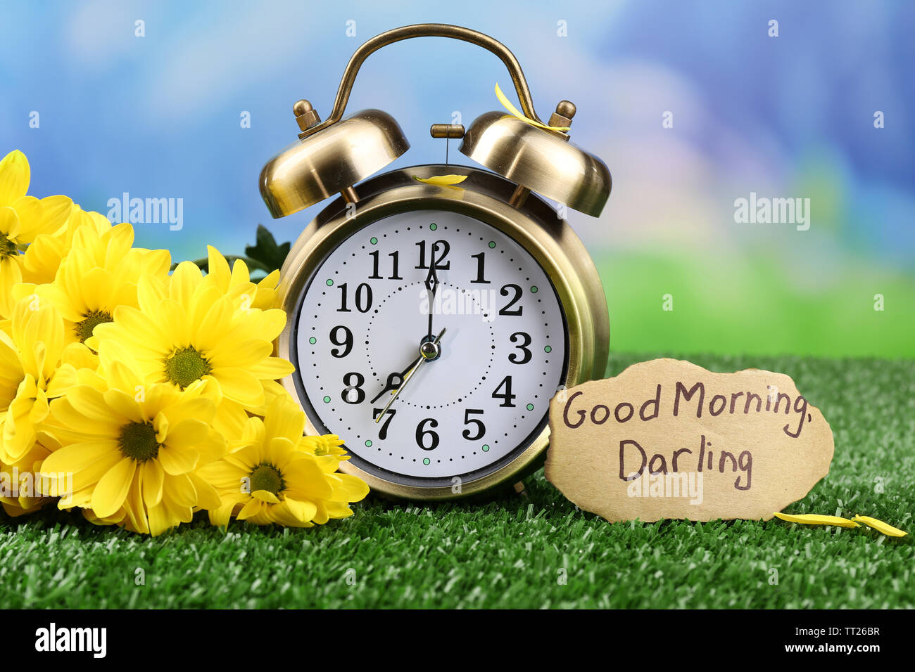 Alarm clock on green grass, on nature background Stock Photo - Alamy