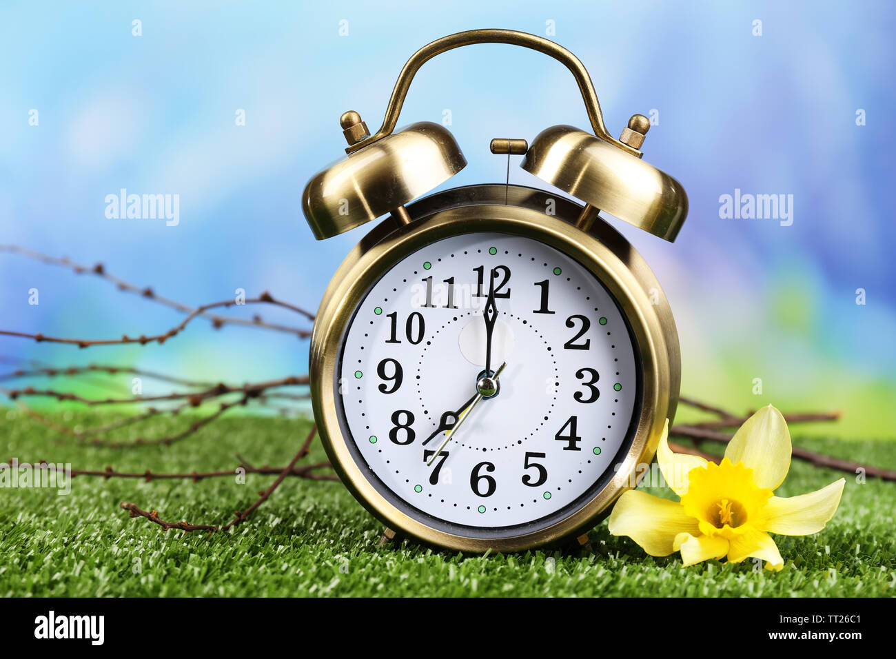 Alarm clock on green grass, on nature background Stock Photo - Alamy