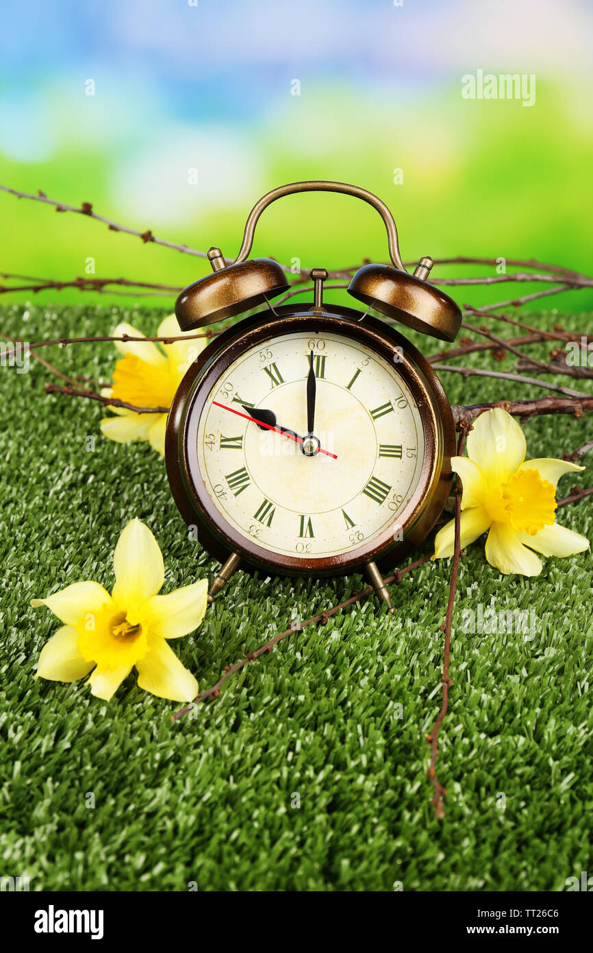 Alarm clock on green grass, on nature background Stock Photo - Alamy