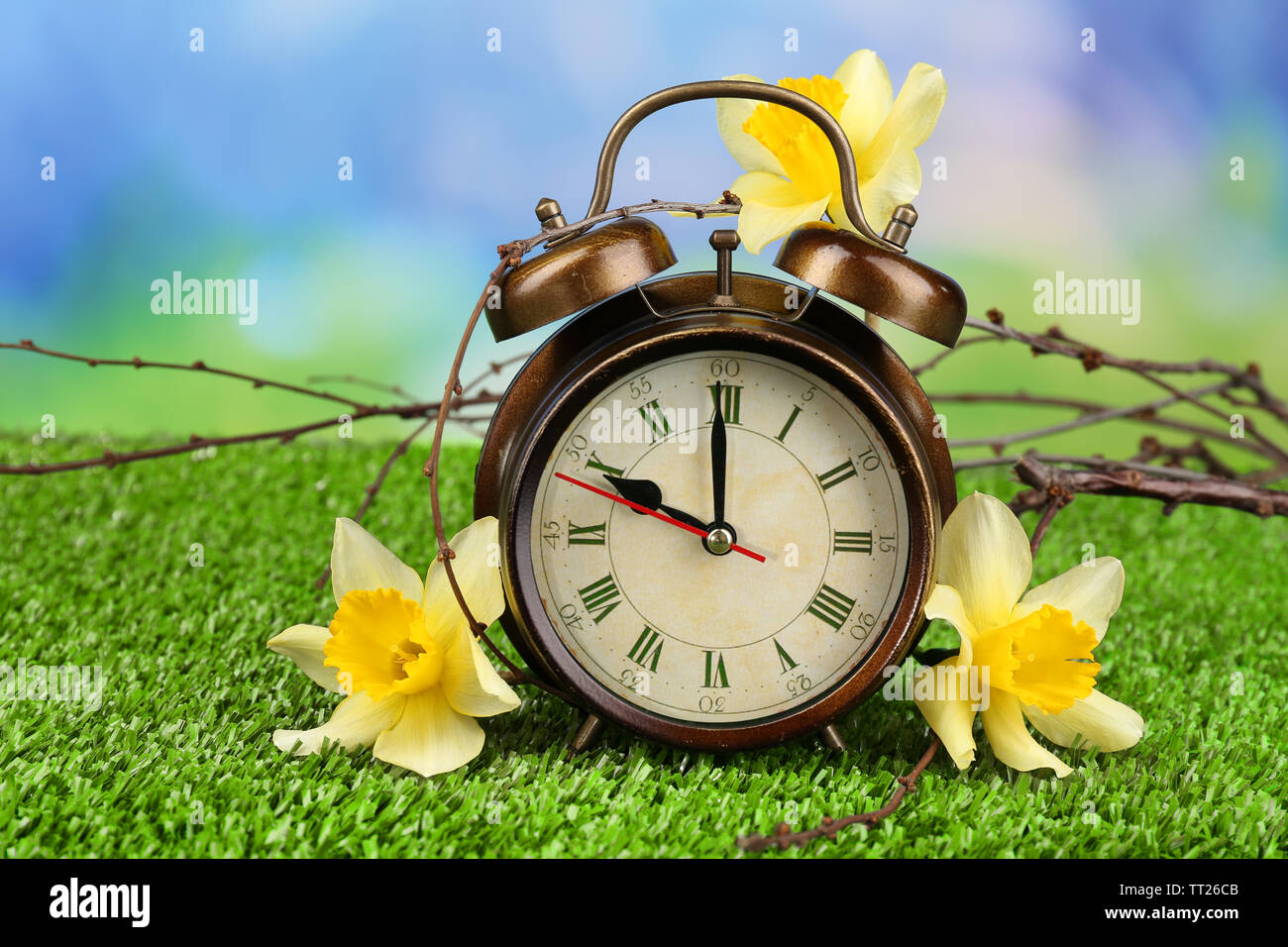 Alarm clock on green grass, on nature background Stock Photo - Alamy