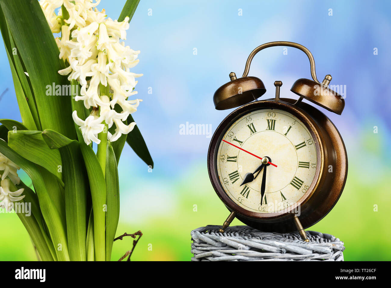 Alarm clock on nature background Stock Photo - Alamy