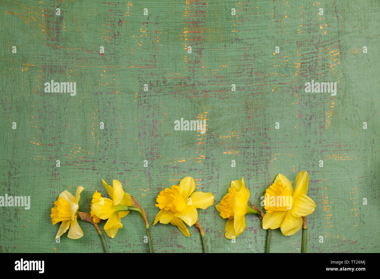 Beautiful flowers on color wooden background Stock Photo - Alamy