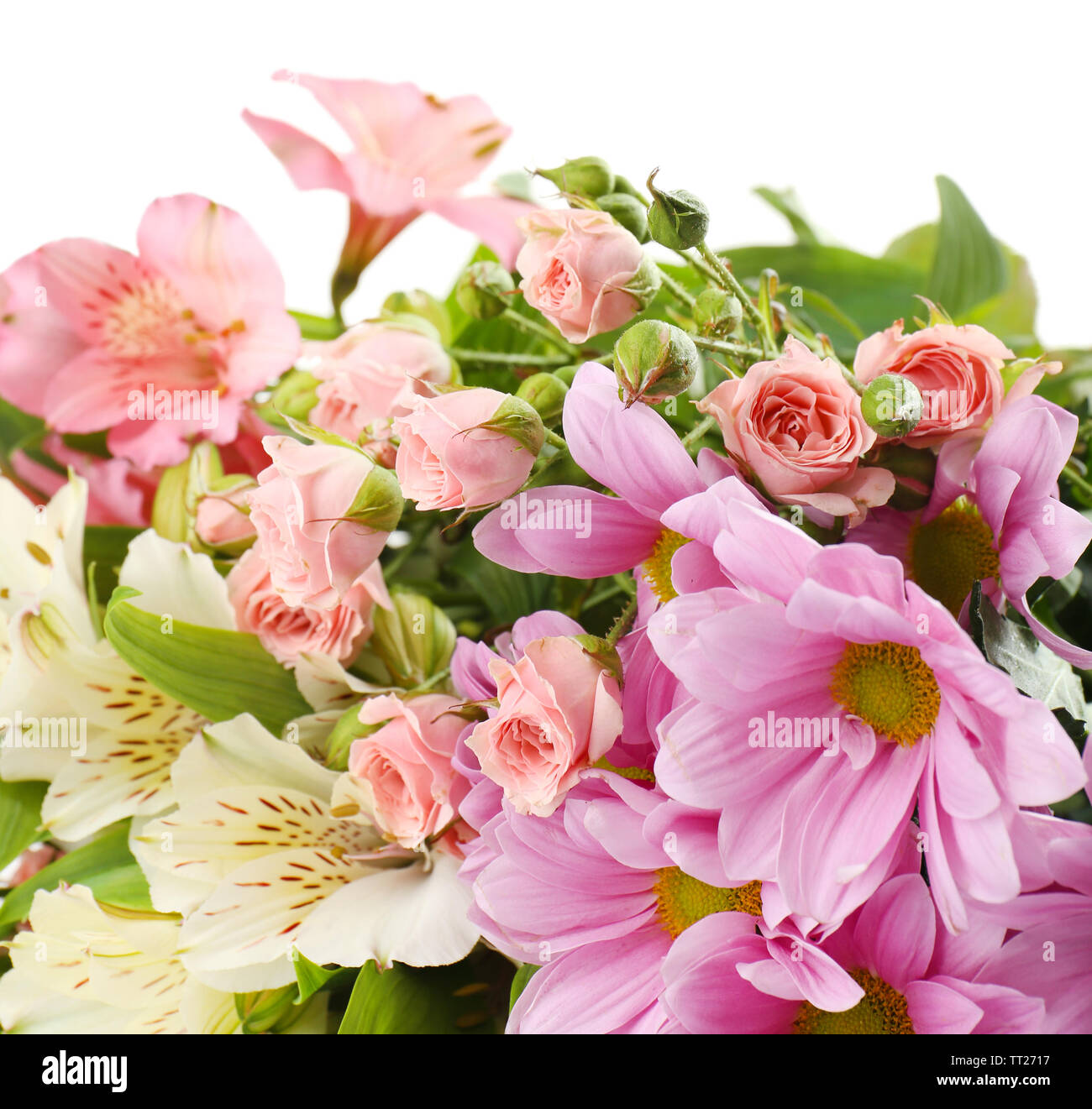 Beautiful flowers close up Stock Photo - Alamy