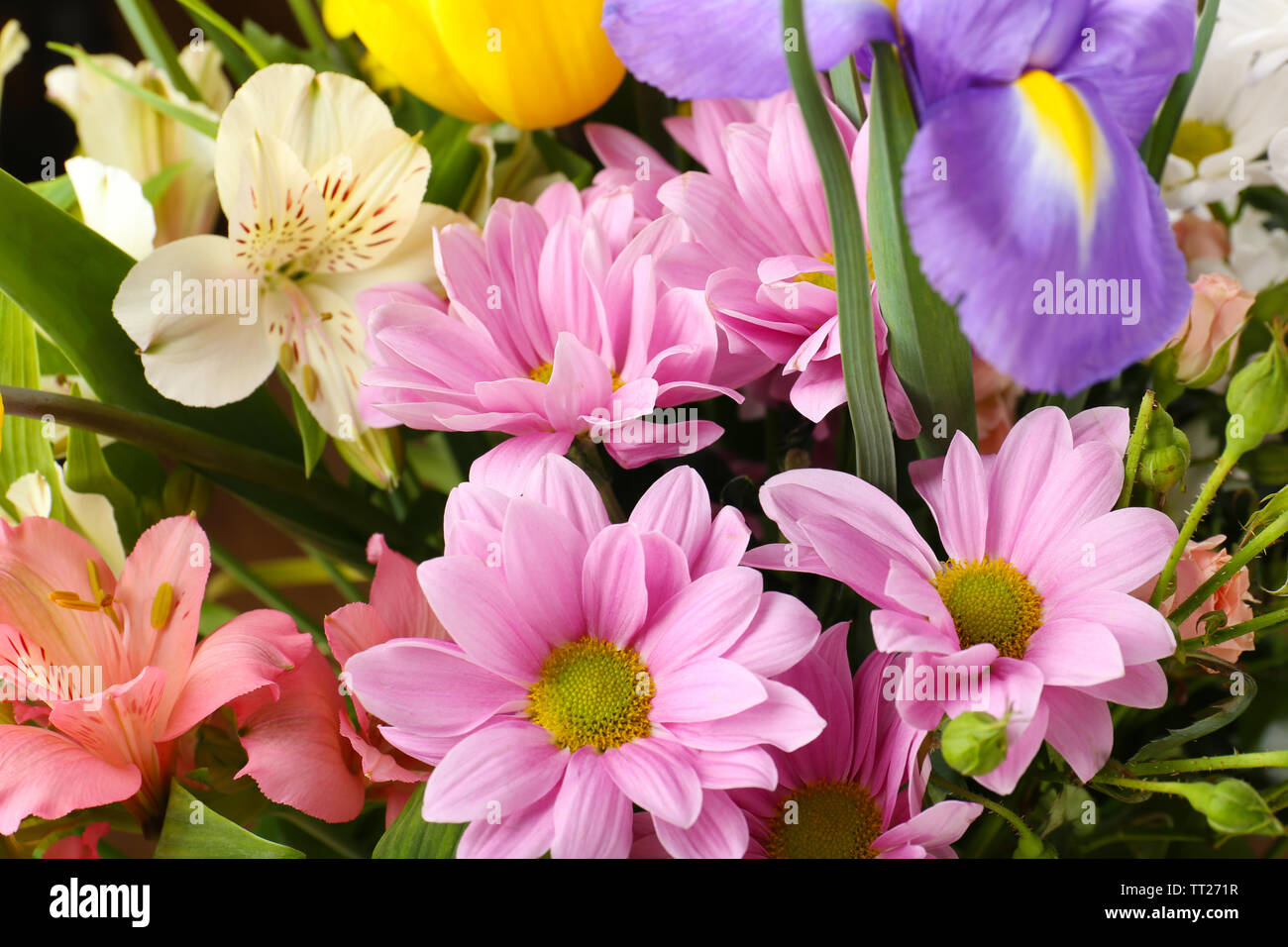 Beautiful flowers close up Stock Photo - Alamy