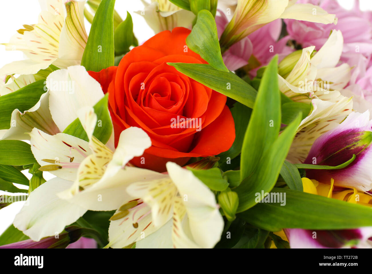 Beautiful flowers close up Stock Photo - Alamy