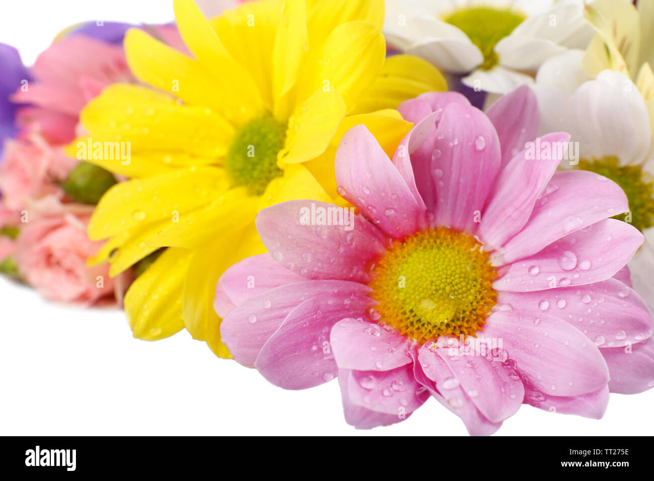 Beautiful flowers close up Stock Photo - Alamy