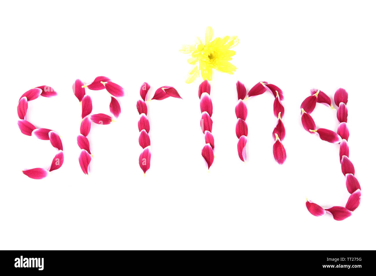 Romantic spring letters made of pink petals, isolated on white Stock ...