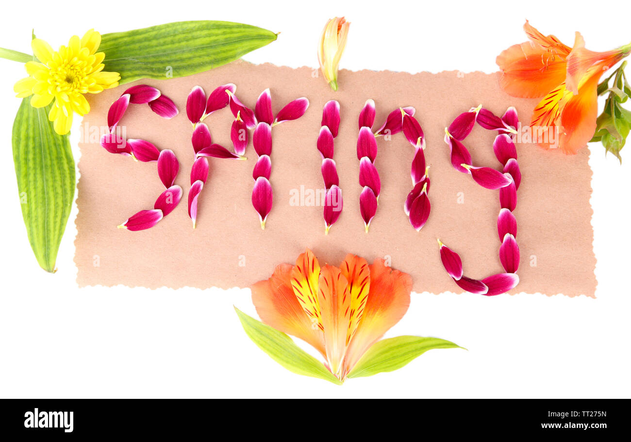 Romantic spring letters made of pink petals, isolated on white Stock ...