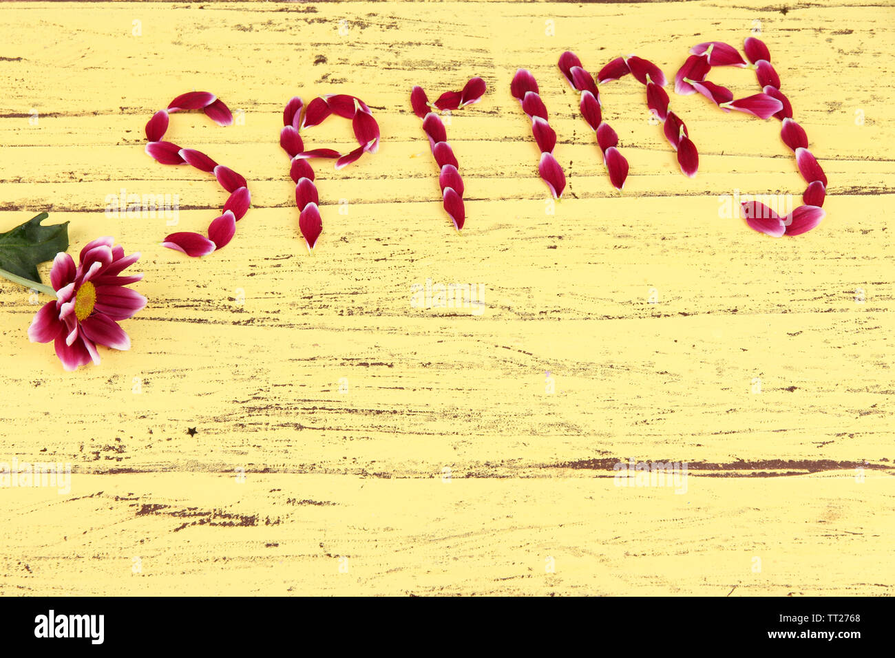 Romantic spring letters made of pink petals, on color wooden background ...