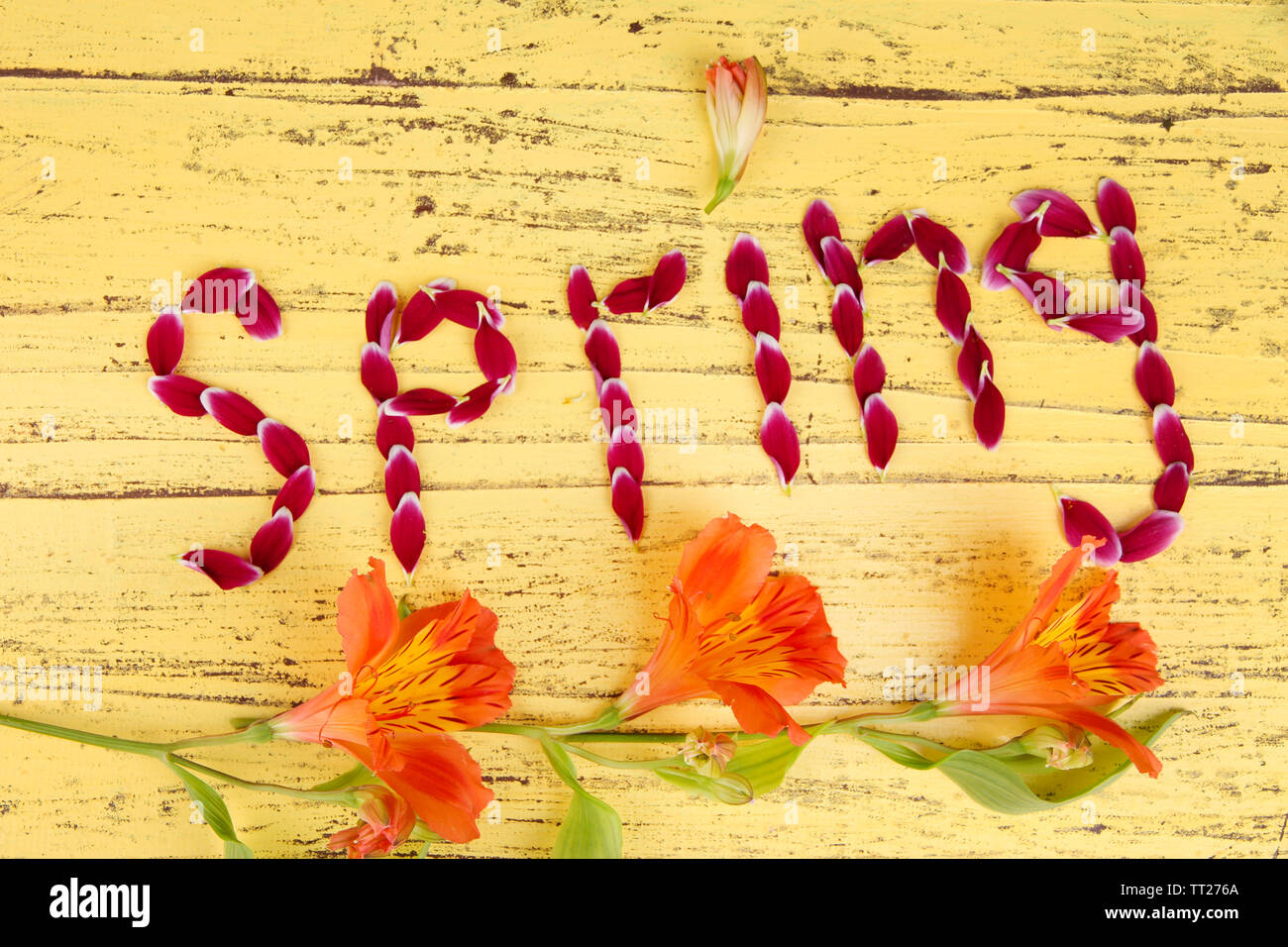 Romantic spring letters made of pink petals, on color wooden background ...