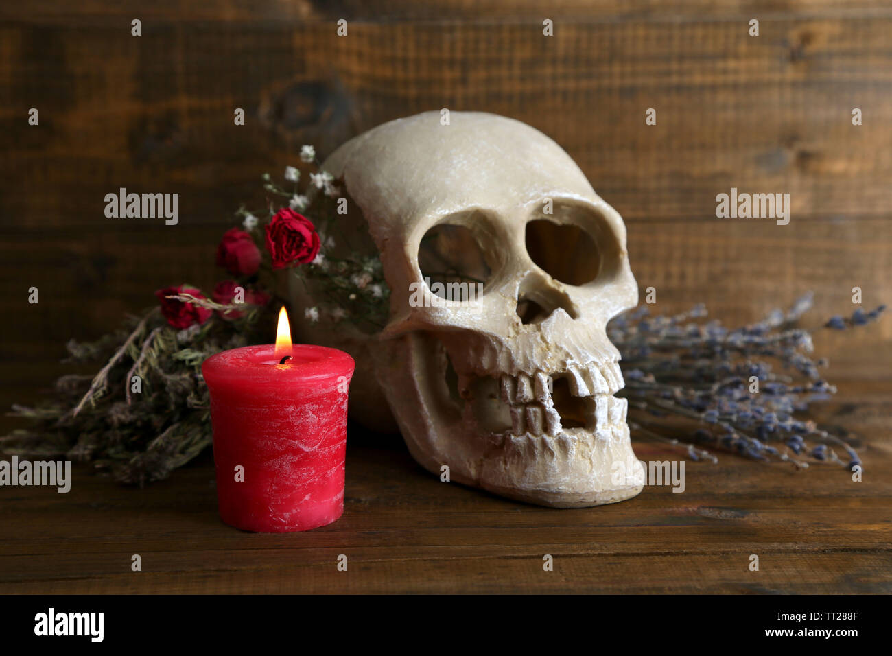 Composition with skull, dried herbs and candle on wooden background ...