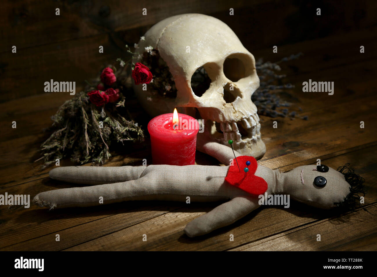 Conceptual photo of love magic. Composition with skull, voodoo doll ...