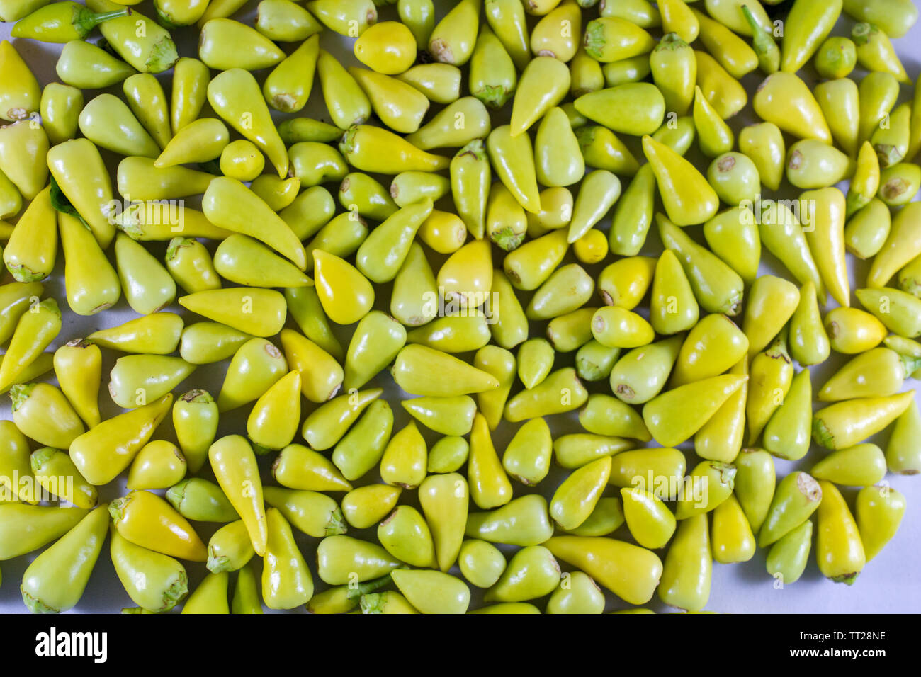 pickle ghost green chilli cayenne pepper texture pattern top view Stock ...