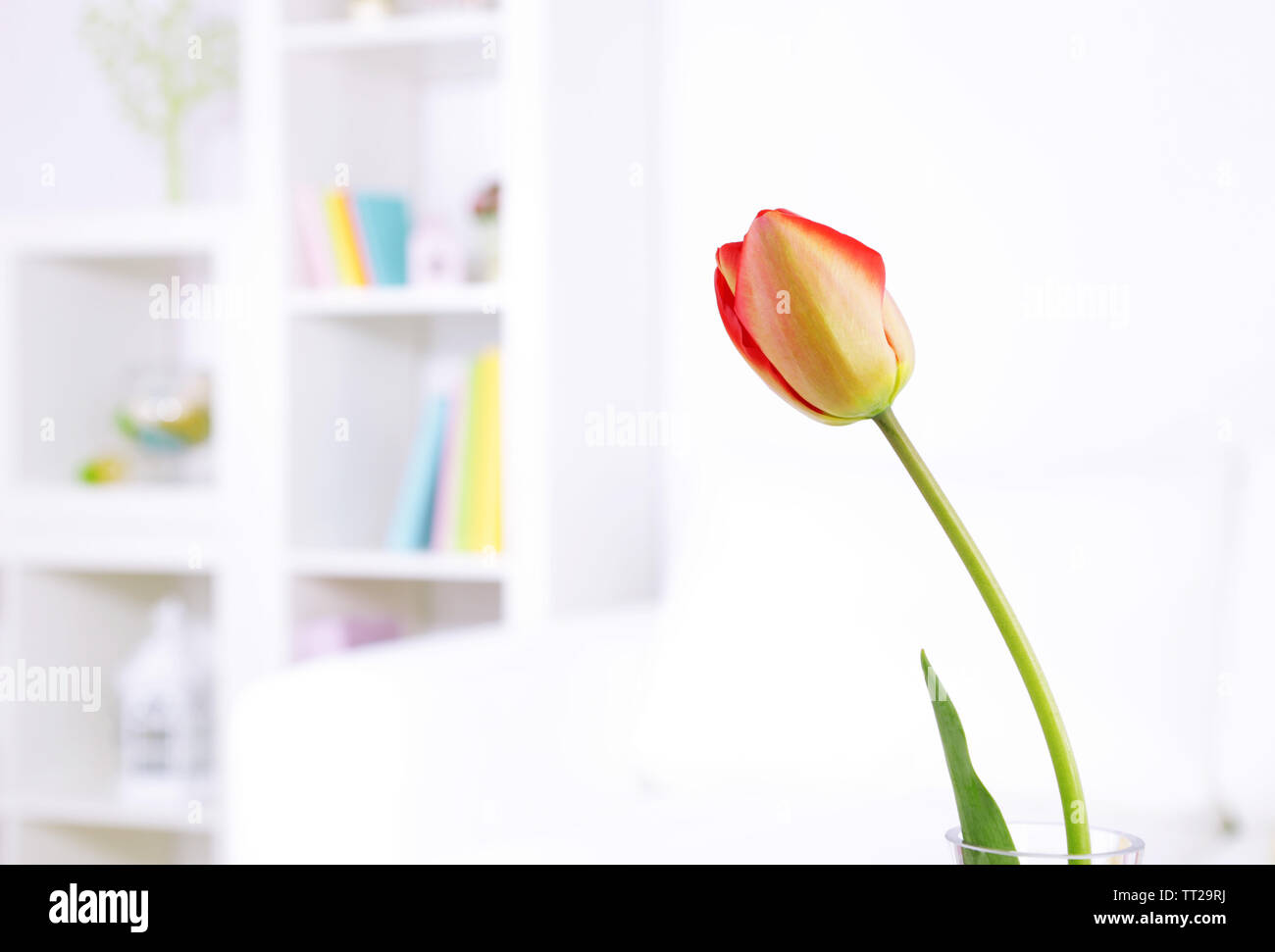 Beautiful spring flowers in vase on home interior background Stock ...