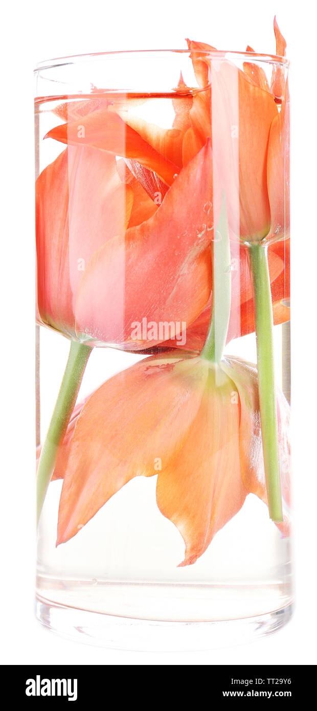 Spring flowers submerged in water isolated on white Stock Photo - Alamy