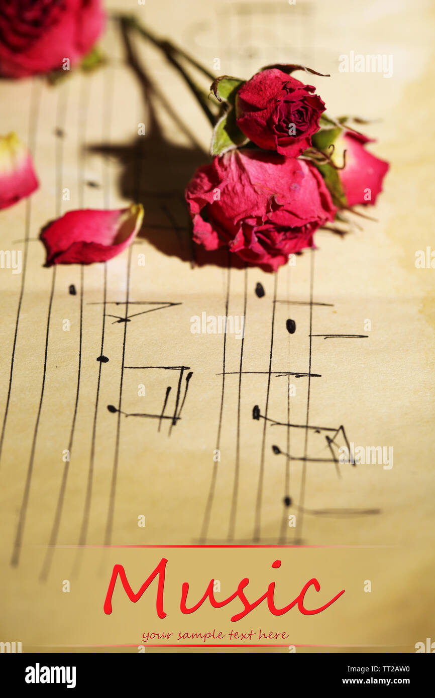 Pink roses music notes hi-res stock photography and images - Alamy