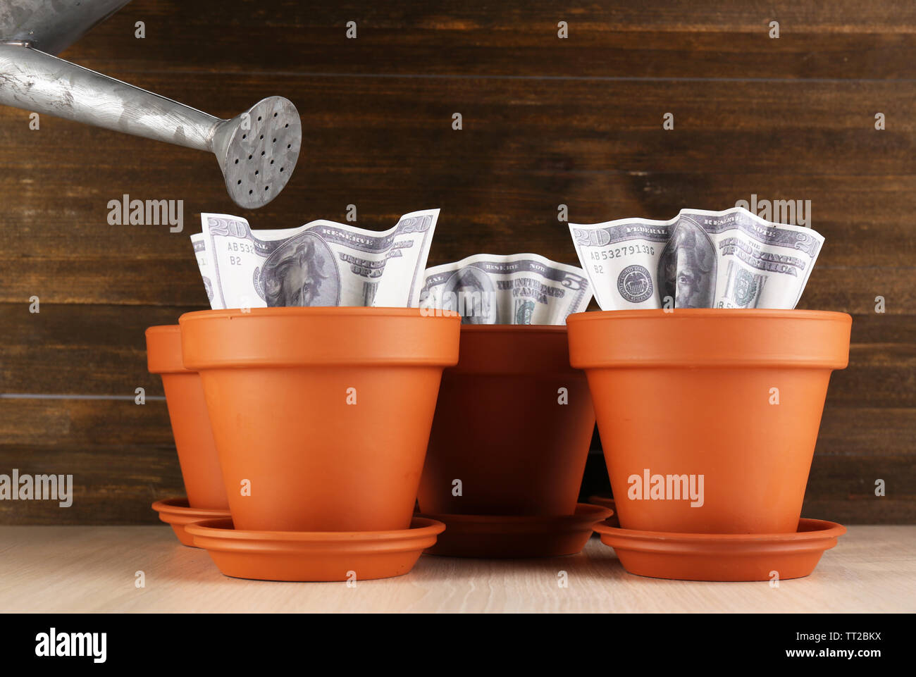 Business concept: growing money in the flowerpots on table Stock Photo ...