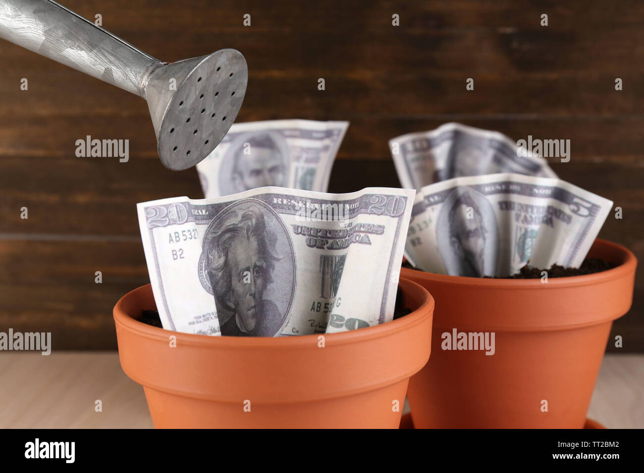 Business concept: growing money in the flowerpots on table Stock Photo ...