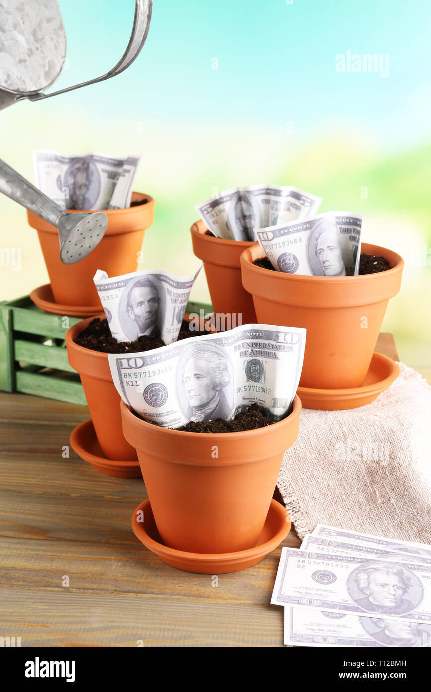 Business concept: growing money in the flowerpots on nature background ...