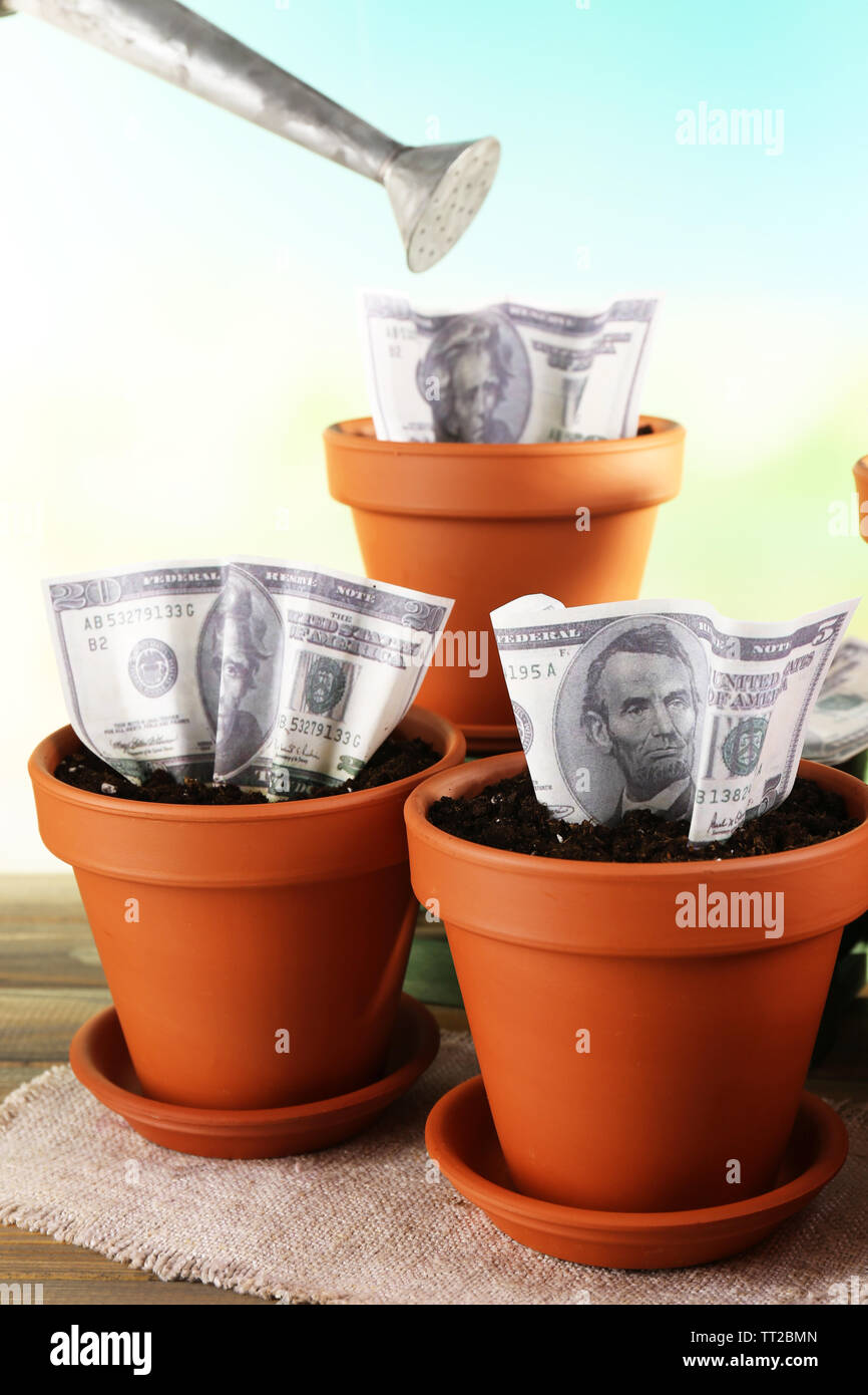 Business concept: growing money in the flowerpots on nature background ...