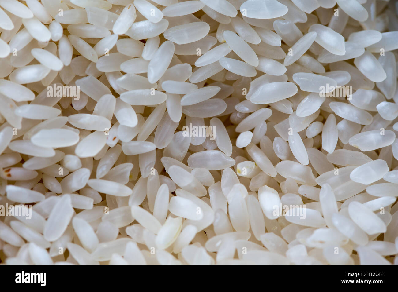 rice uncooked raw rice pattern texture Stock Photo - Alamy