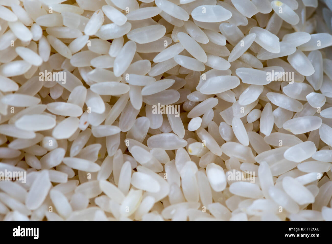 rice uncooked raw rice pattern texture Stock Photo - Alamy