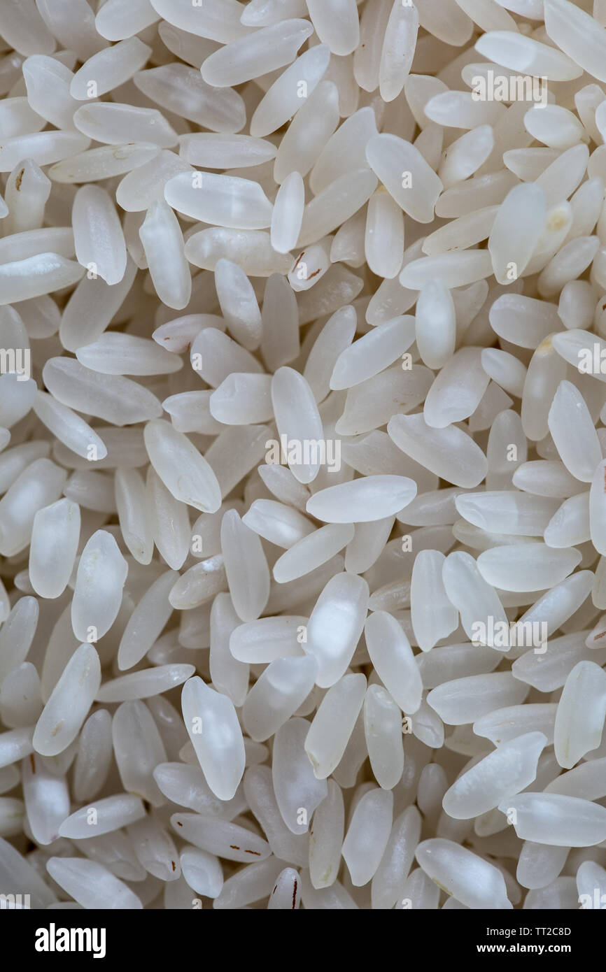 rice uncooked raw rice pattern texture Stock Photo - Alamy
