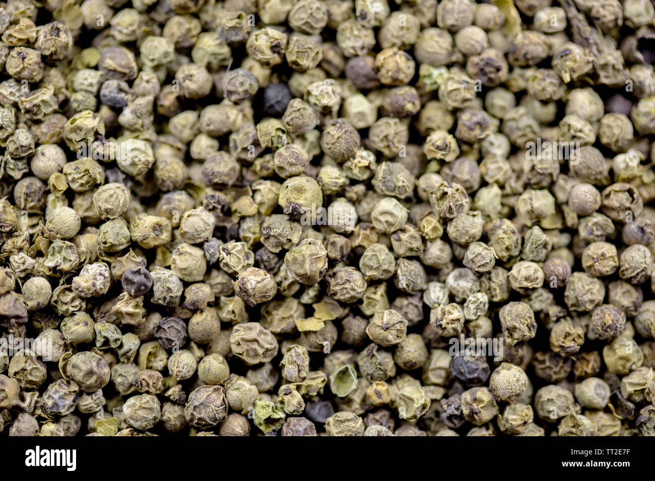 black pepper raw berries Stock Photo - Alamy