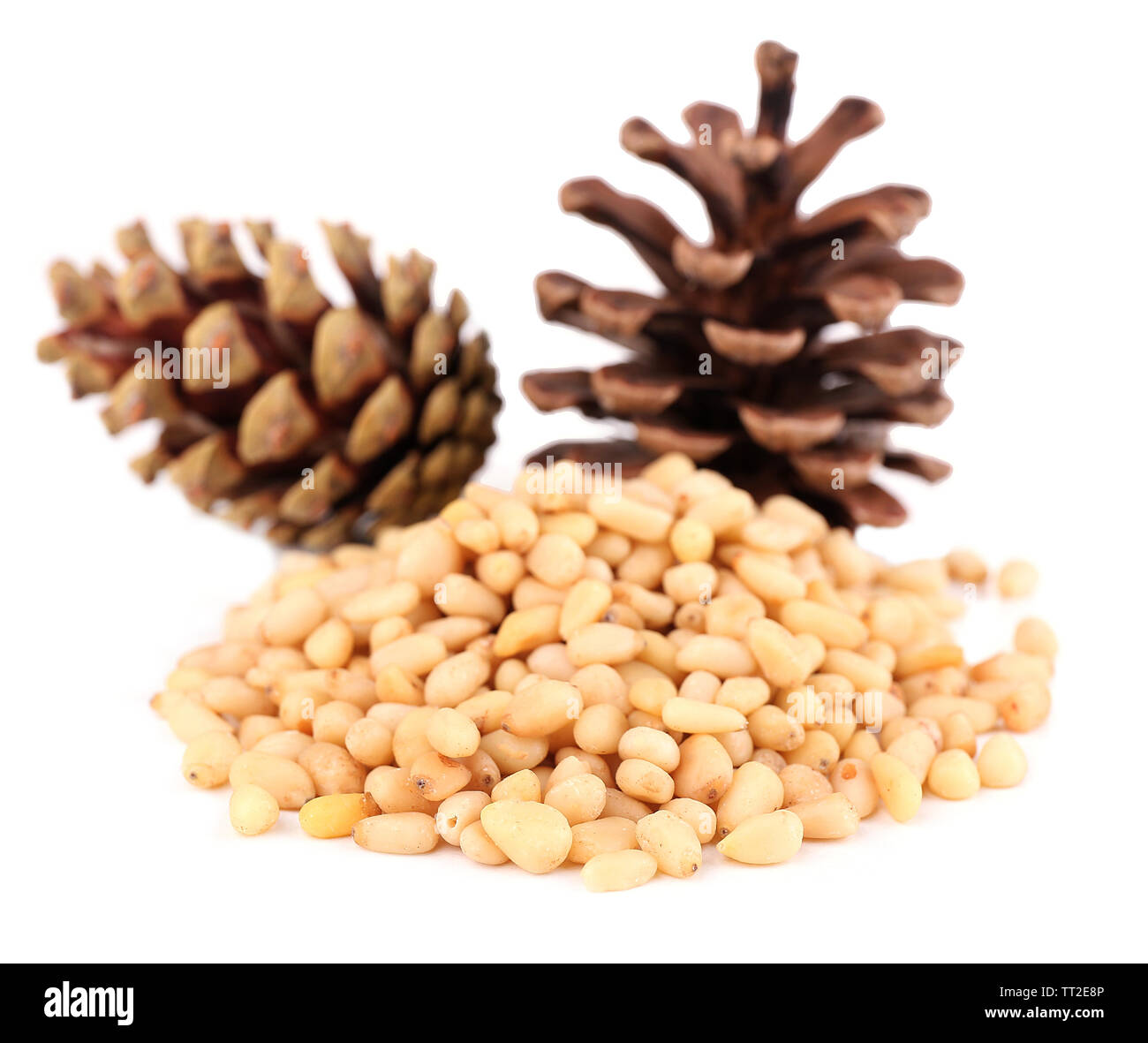 Cedar pine nuts isolated on white Stock Photo - Alamy