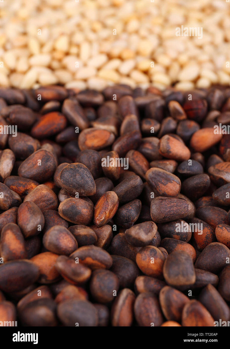 Cedar pine nuts, close up Stock Photo - Alamy